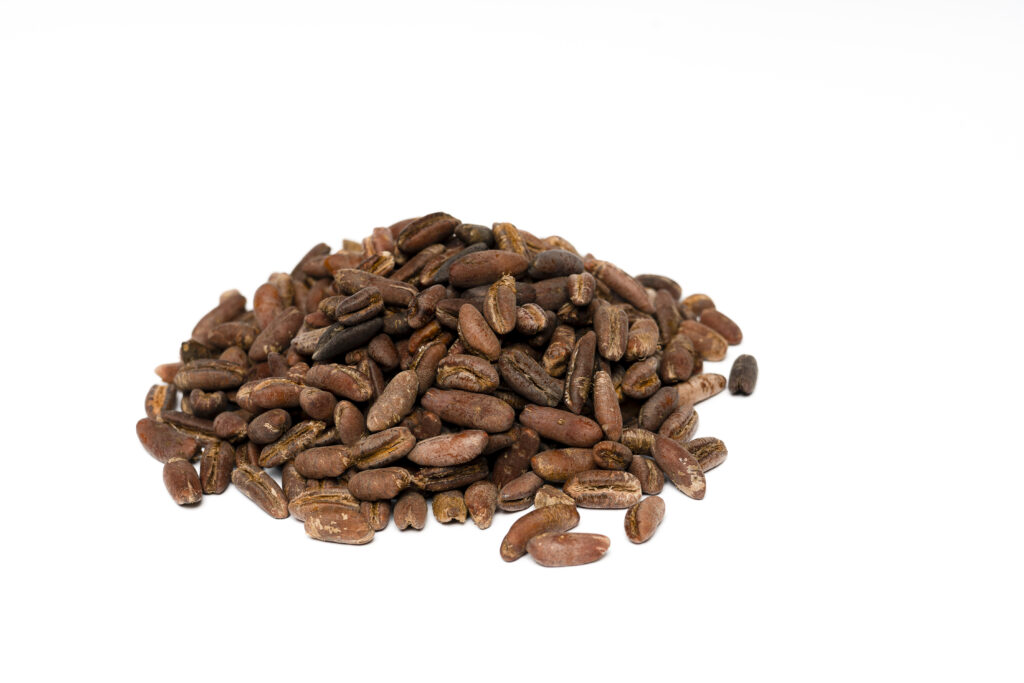 Try Nature’s Secret: Date Seeds!